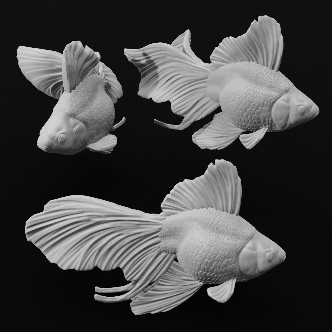 Ryukin Fancy Goldfish - Realistic Fish Pet 3d Print Model 3D model 3D ...