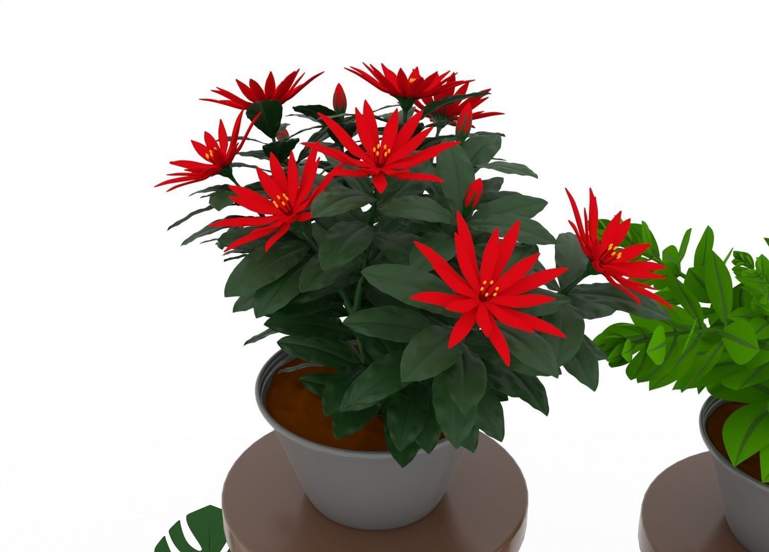 3D model Plant Shelve Rack 3D Design VR / AR / low-poly | CGTrader