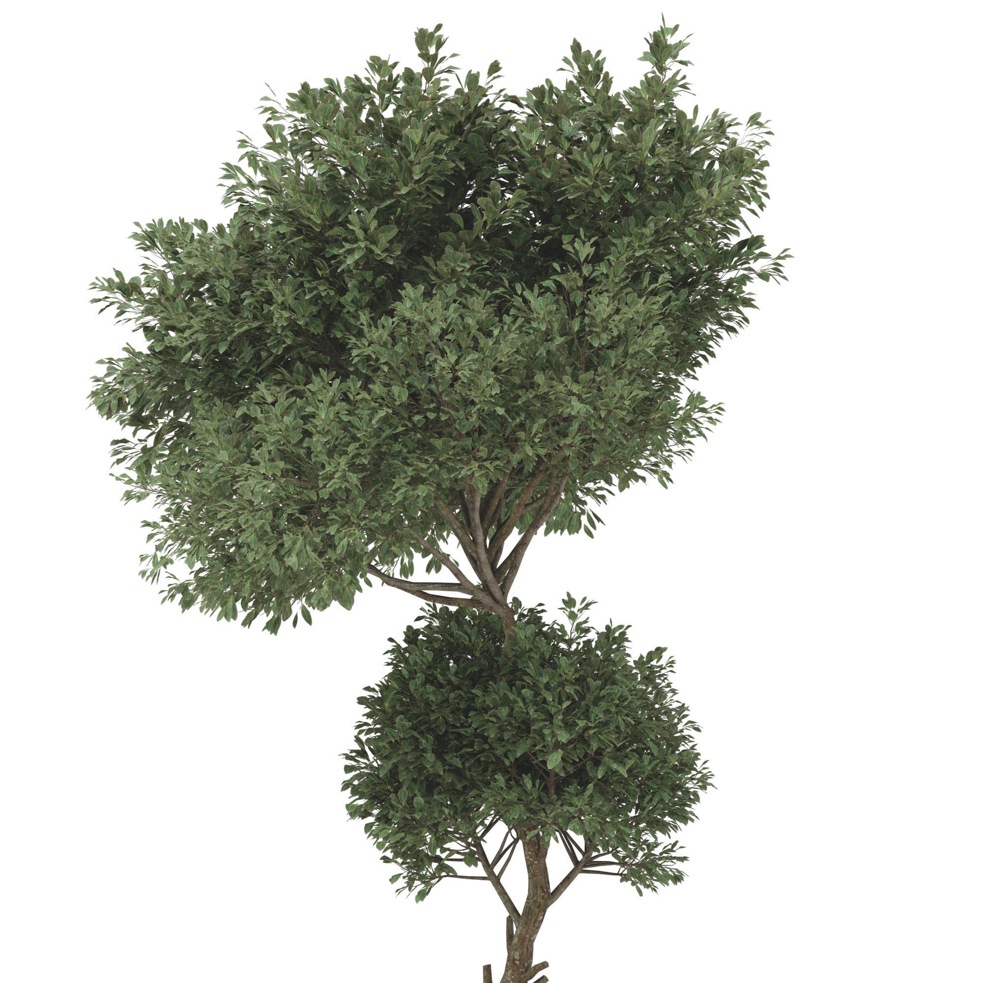 Outdoor urban garden bench Tree 112 3D model | CGTrader