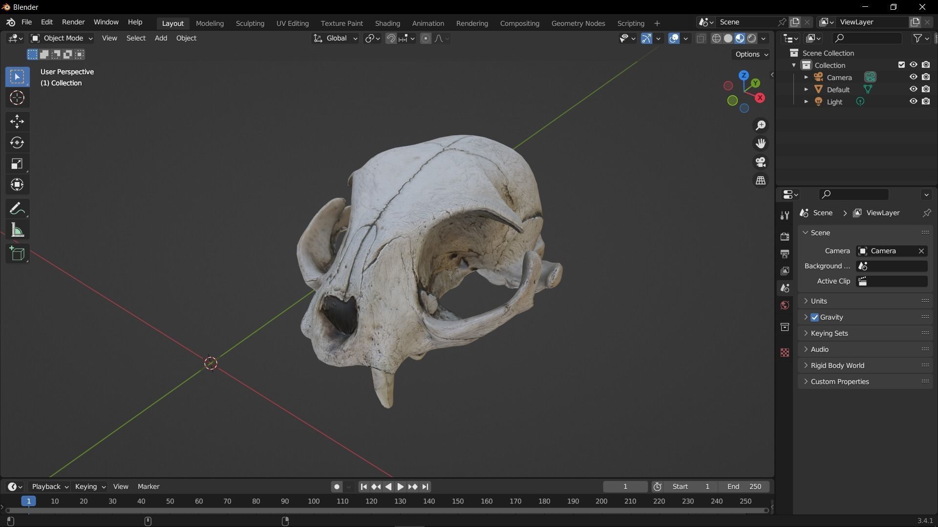 3D model Real Cat Skull Scan VR / AR / low-poly | CGTrader