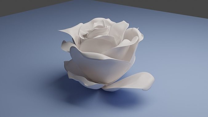White Rose 3D model | CGTrader