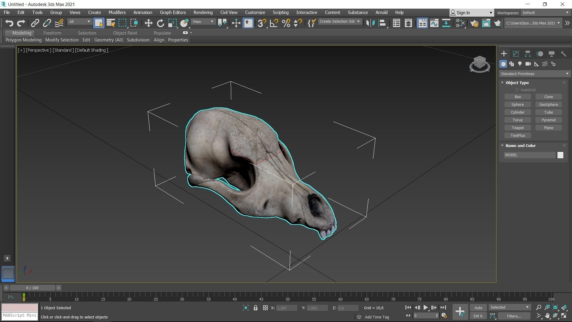 3D model Real Dog Skull Scan VR / AR / low-poly | CGTrader