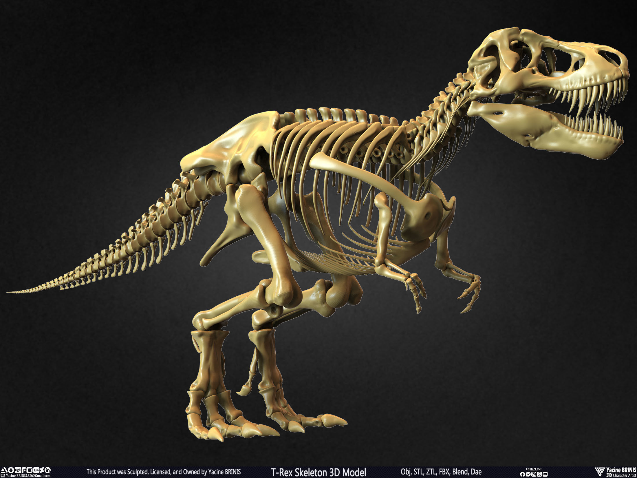3D model T-Rex Skeleton 3D Model VR / AR / low-poly | CGTrader