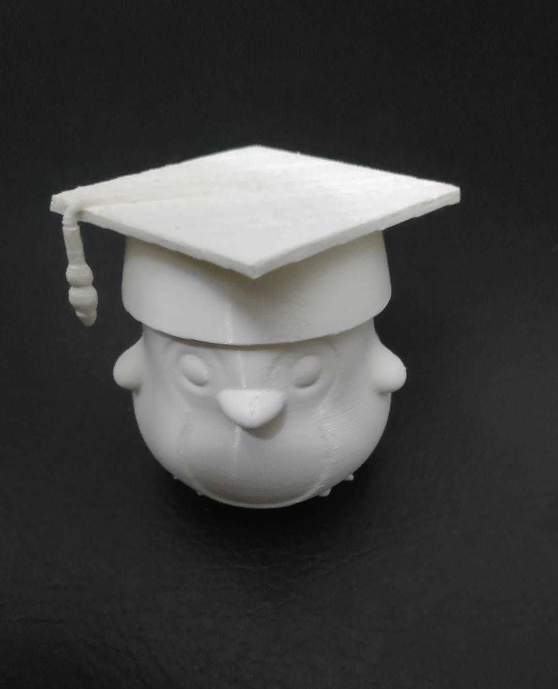 Penguin Graduate 3D model 3D printable | CGTrader