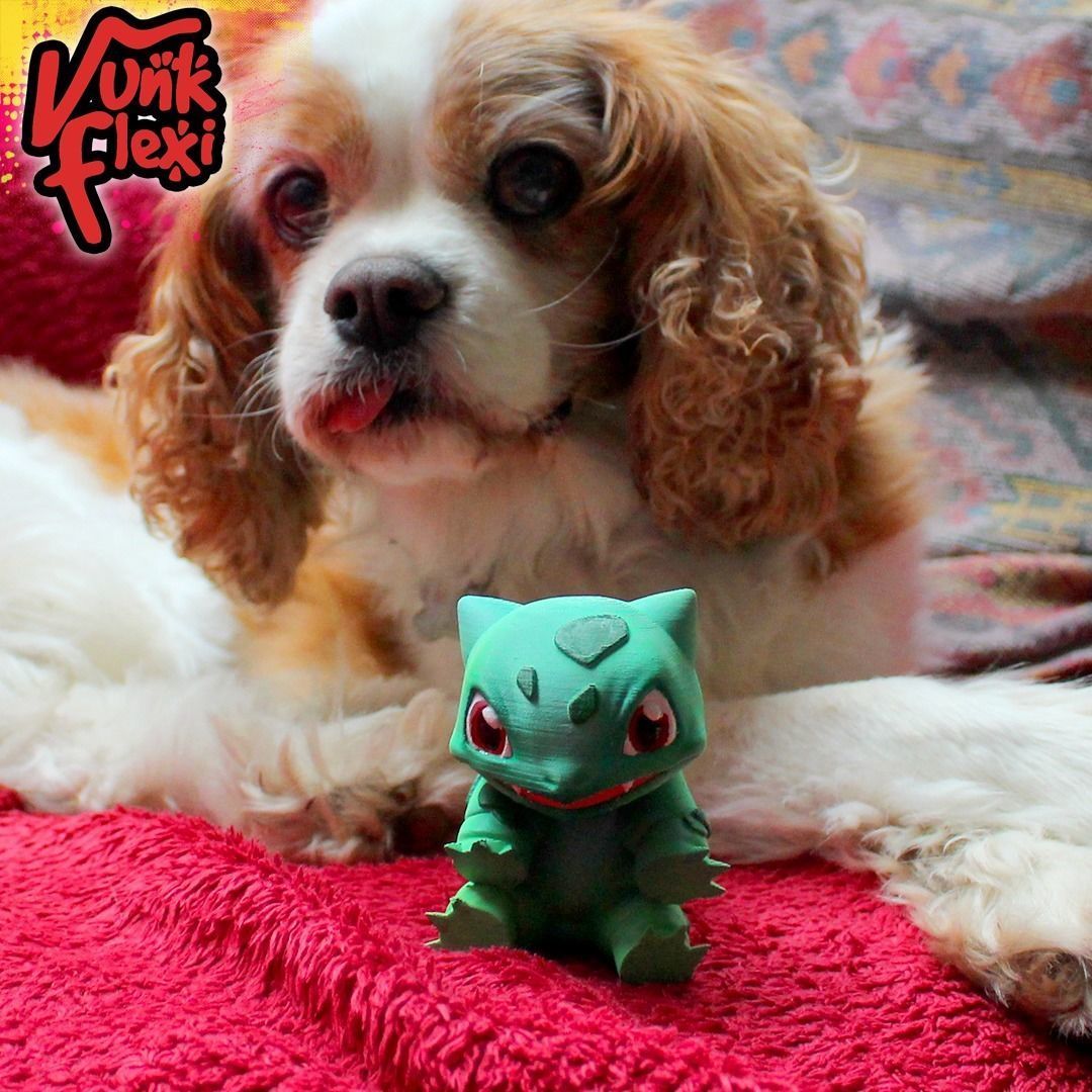 Pokemon Bulbasaur Flexi Print In Place plus figure and keychain free 3D ...