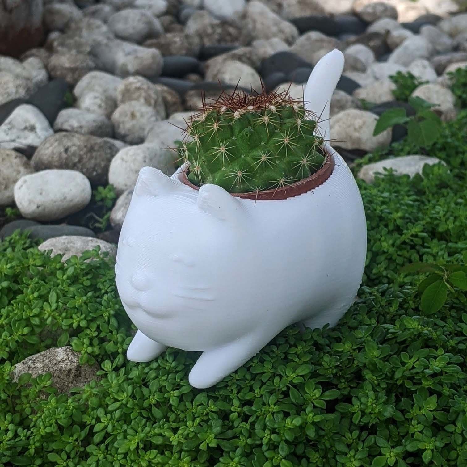 potatocat for plant 3D model 3D printable | CGTrader