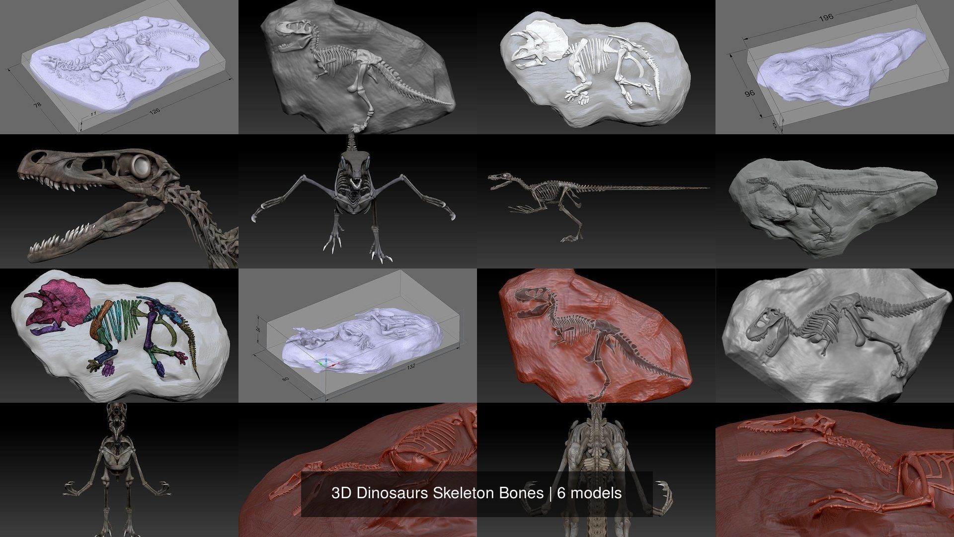 3D Dinosaurs Skeleton Bones 3D Model Collection | CGTrader