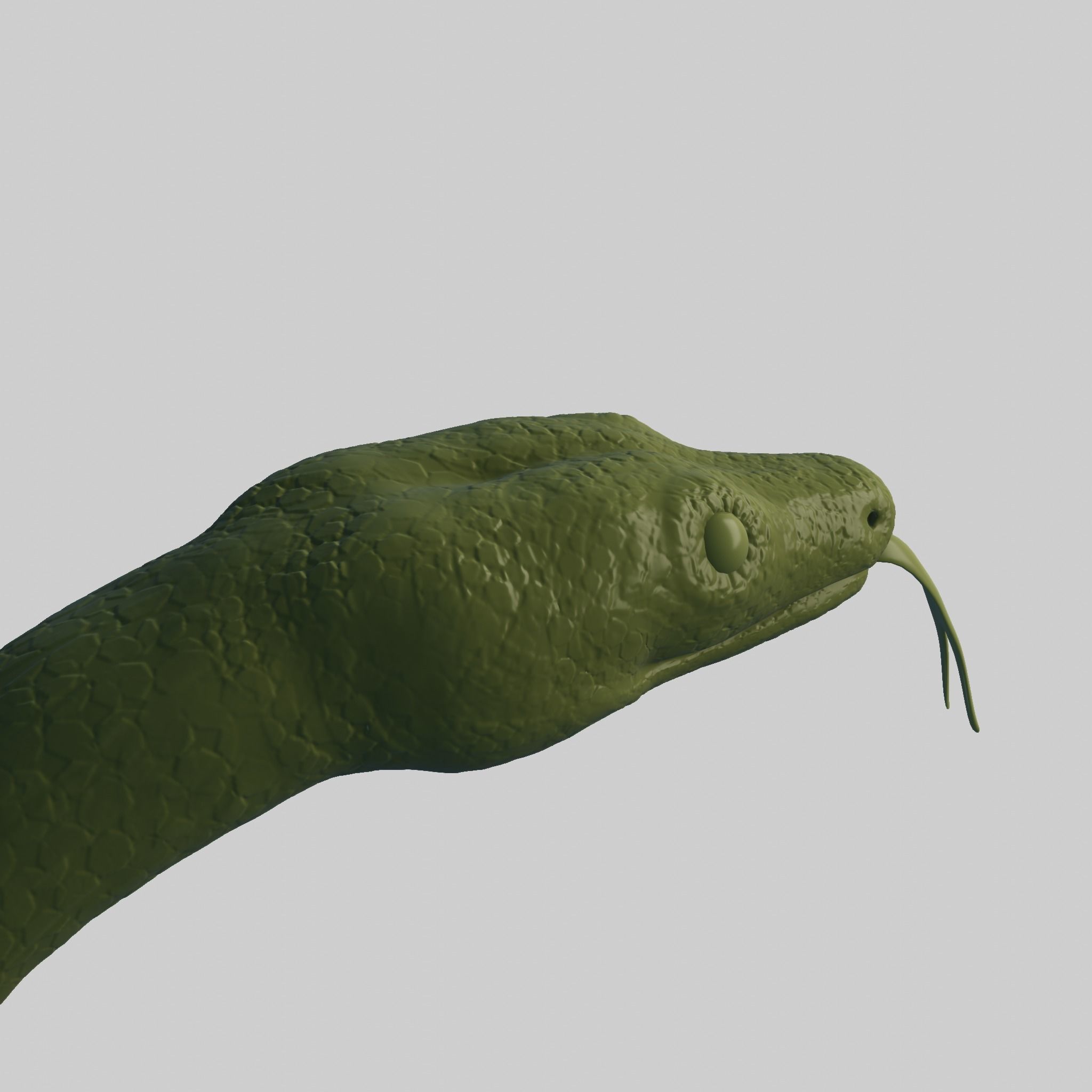 Snake Heads 3D print model red-tailed boa 3D model 3D printable | CGTrader