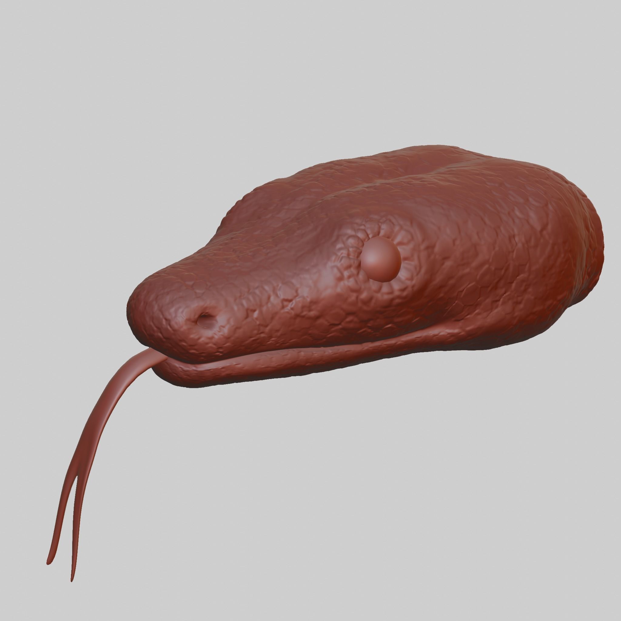 Snake Heads 3D print model red-tailed boa 3D model 3D printable | CGTrader