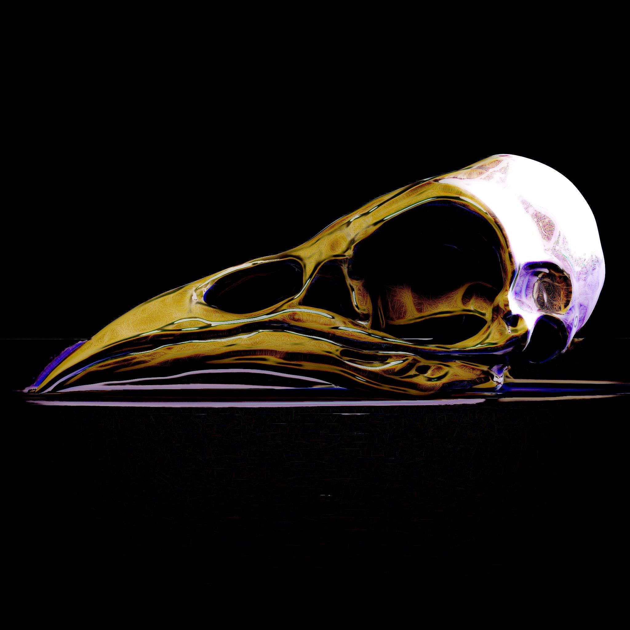 Raven Skull free 3D model | CGTrader