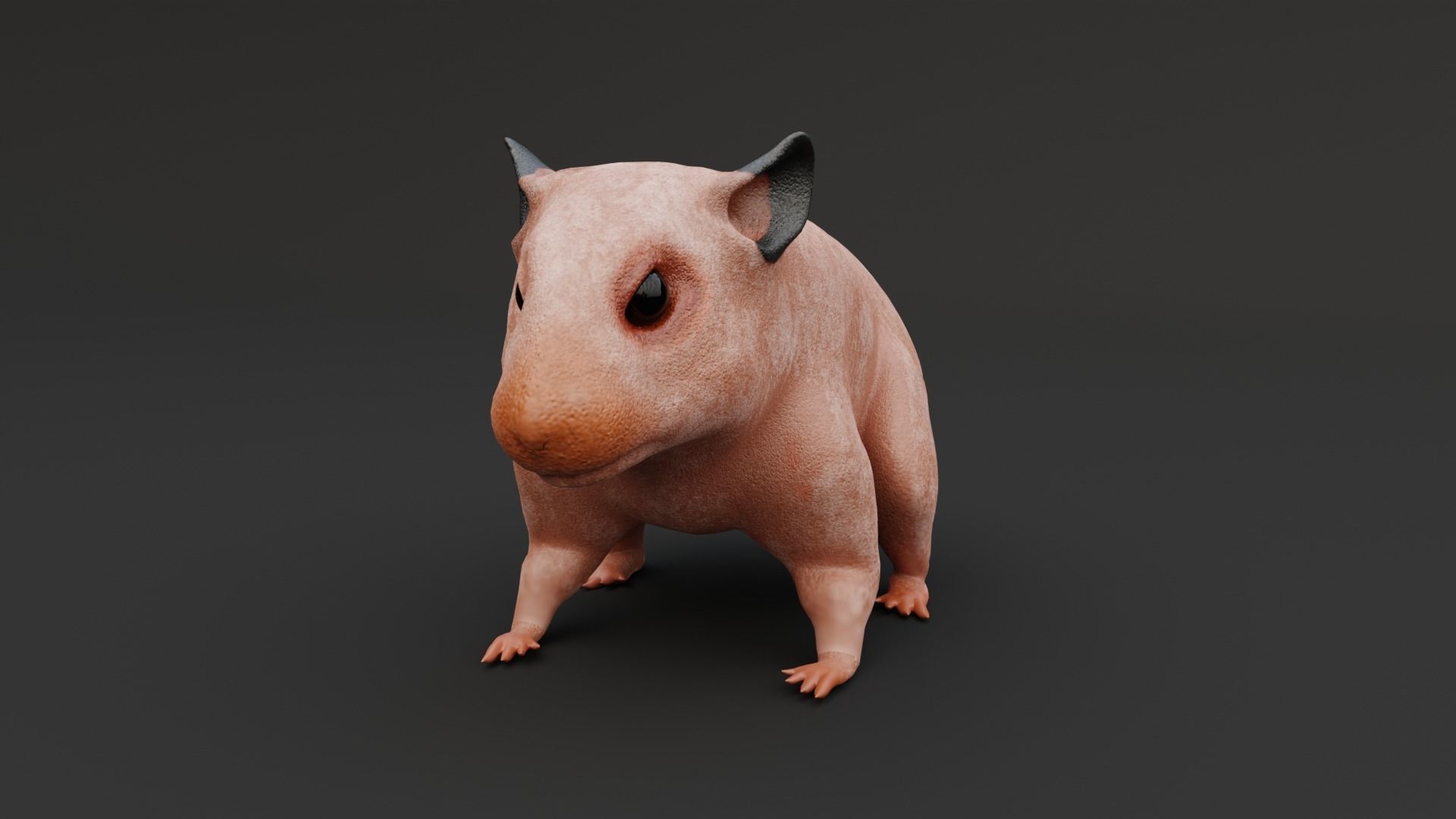 3D model Realistic Hamster VR / AR / low-poly | CGTrader