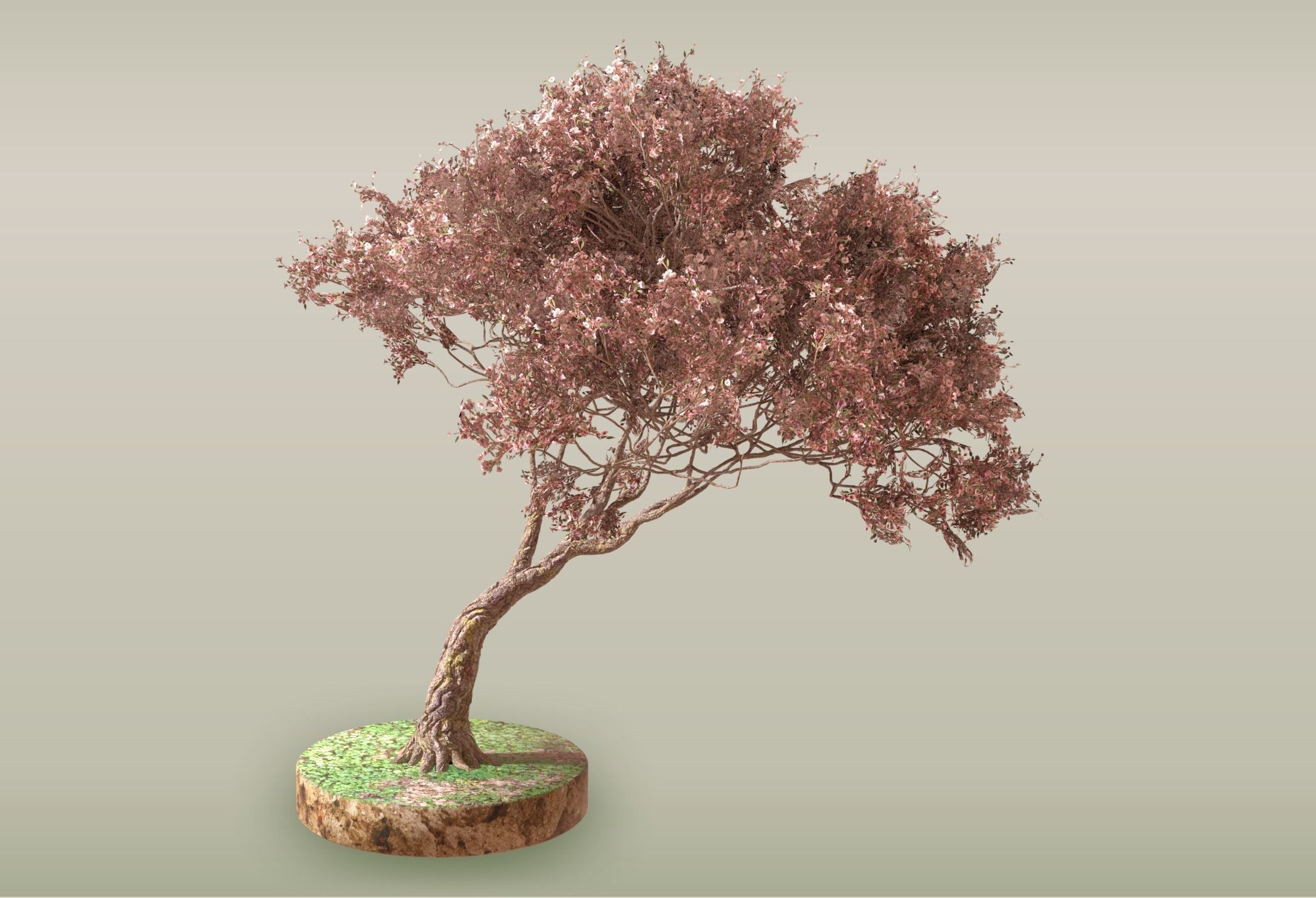 Tree - 1 free 3D model | CGTrader