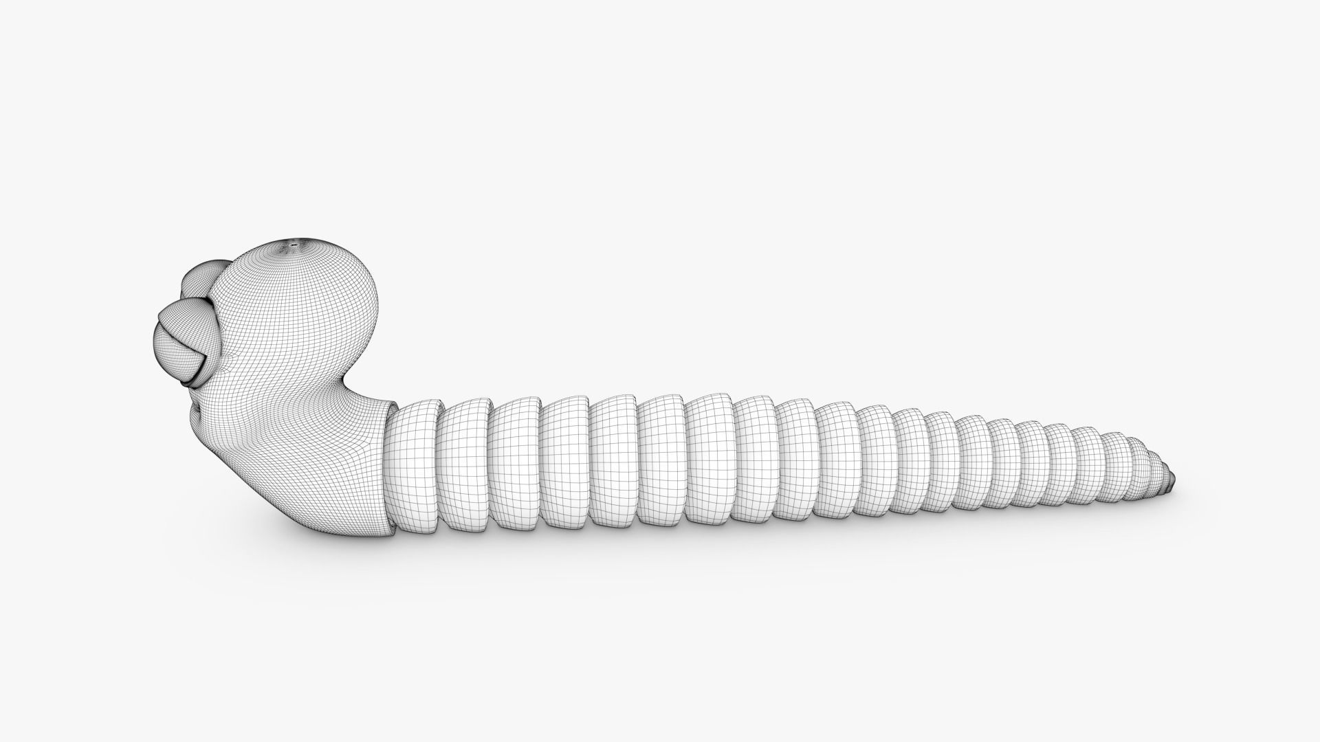 Articulated Worm free 3D model 3D printable | CGTrader