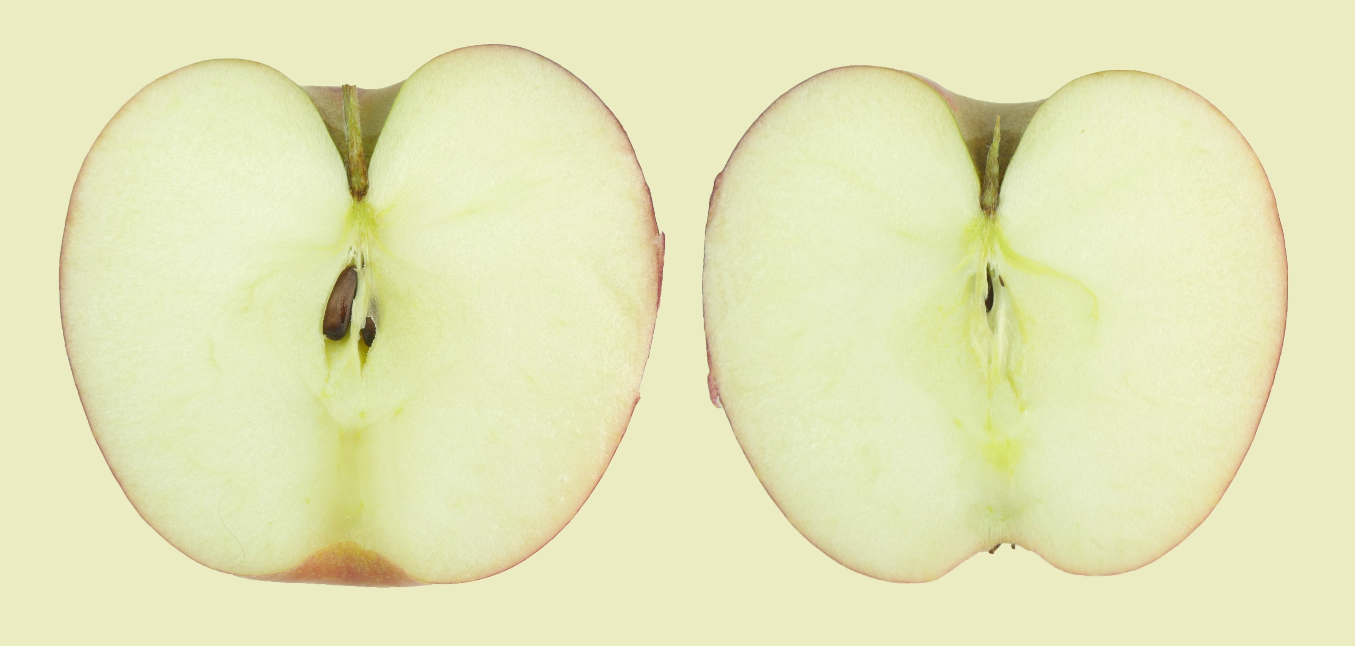 apple scene 3D model | CGTrader