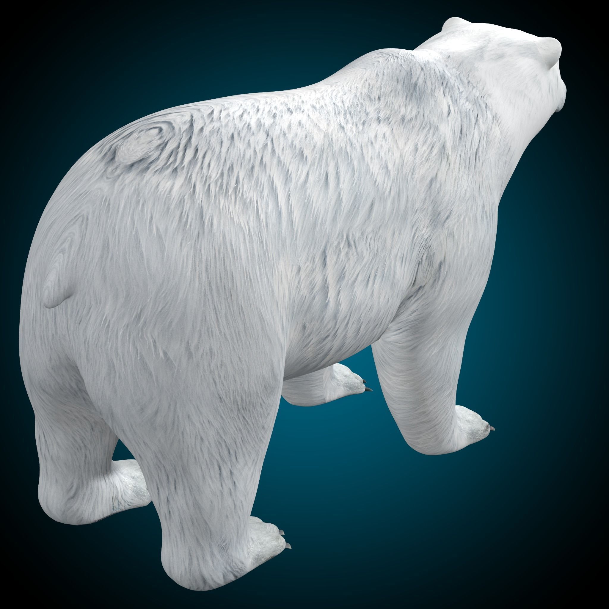 Polar Bear 3D model rigged | CGTrader