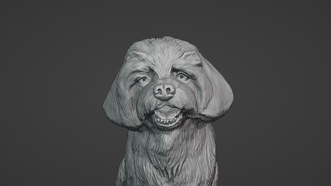Maltese 3D model 3D printable | CGTrader