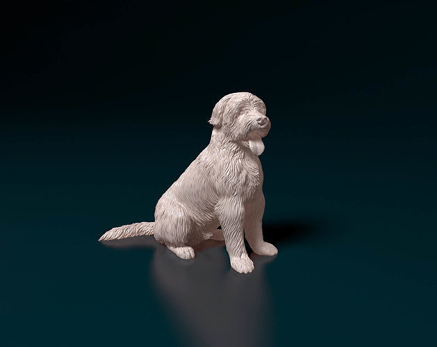 Catalan Sheepdog 3D model 3D printable | CGTrader