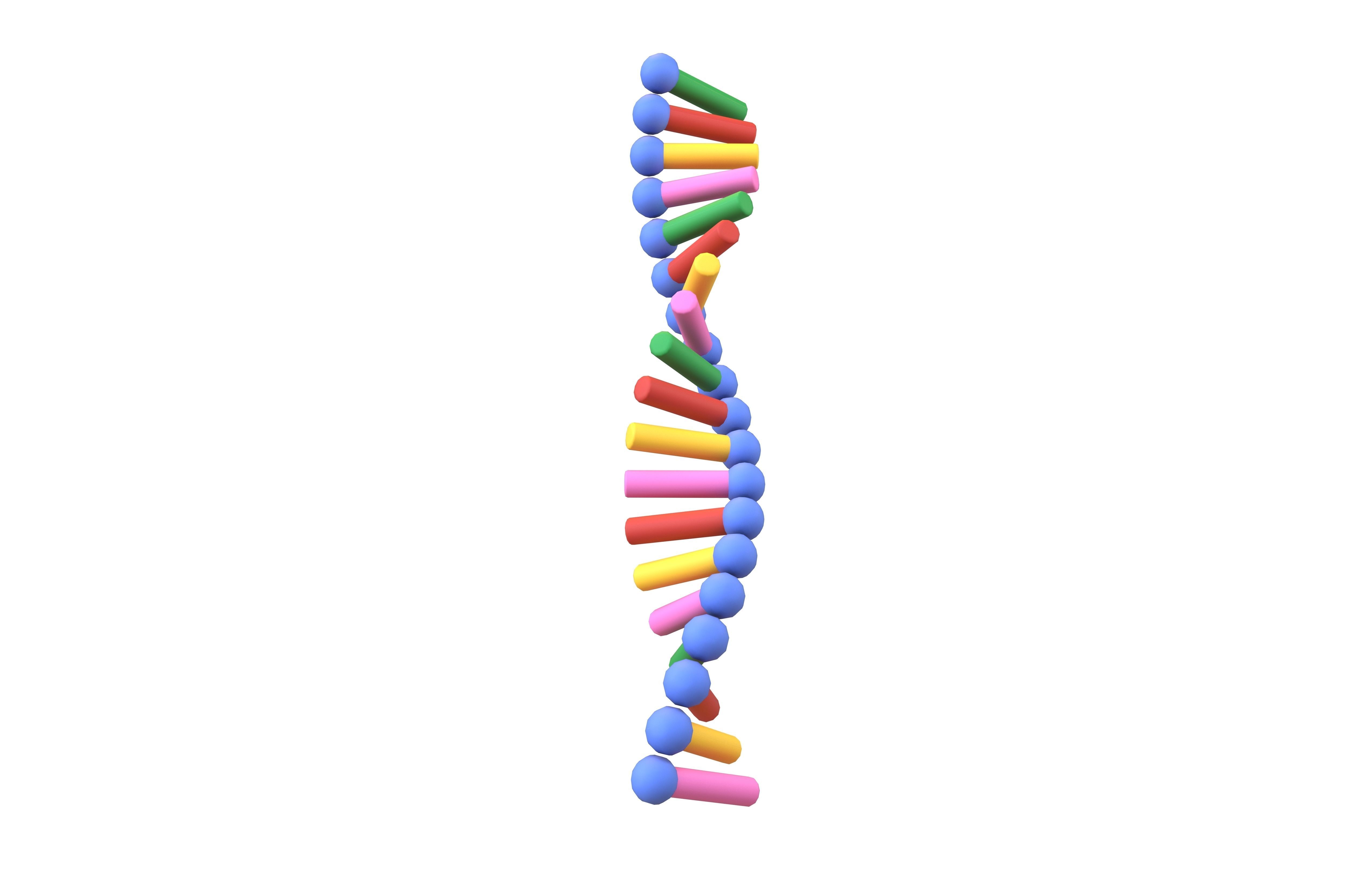 3D model Cartoon RNA Molecule v1 001 VR / AR / low-poly | CGTrader