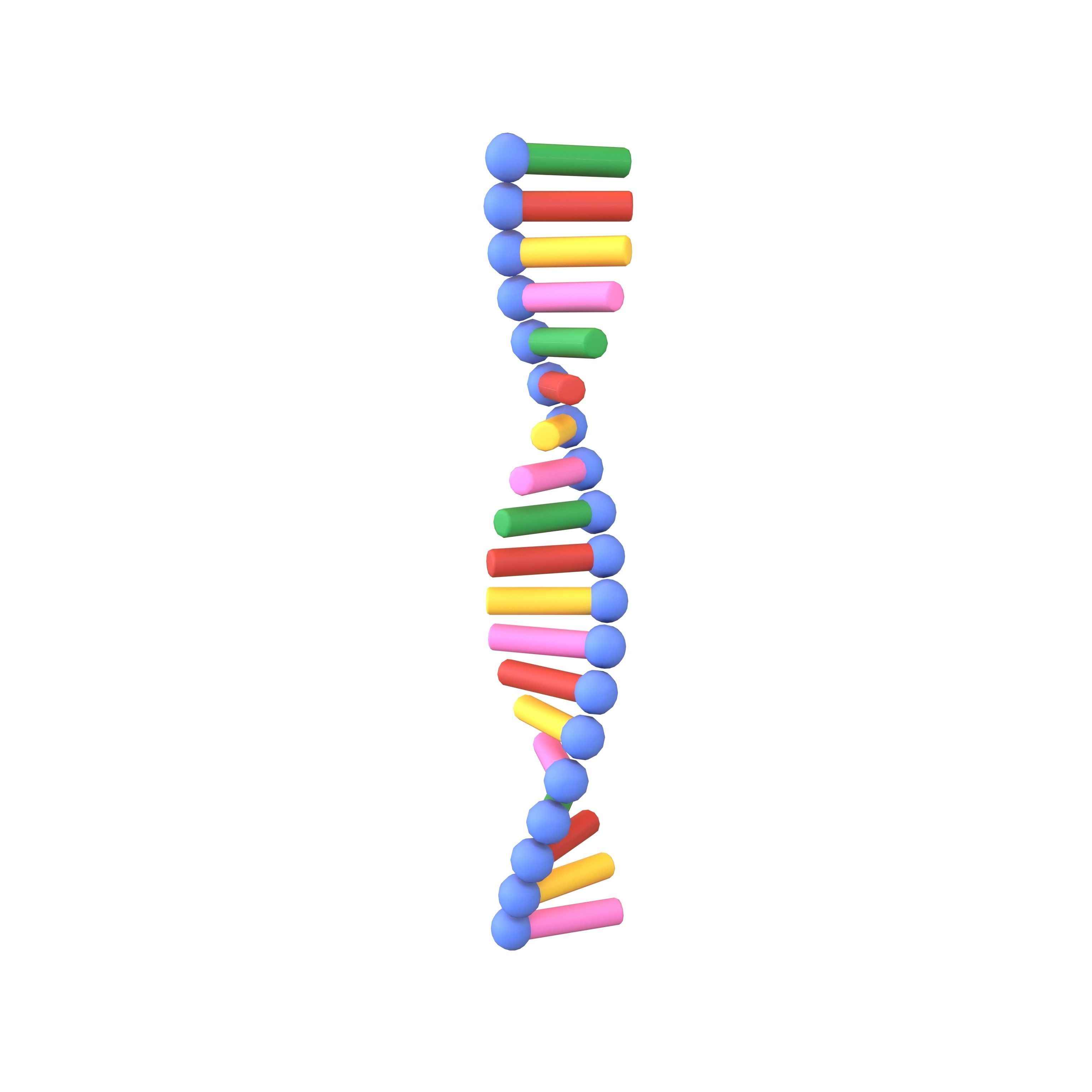 3D model Cartoon RNA Molecule v1 001 VR / AR / low-poly | CGTrader