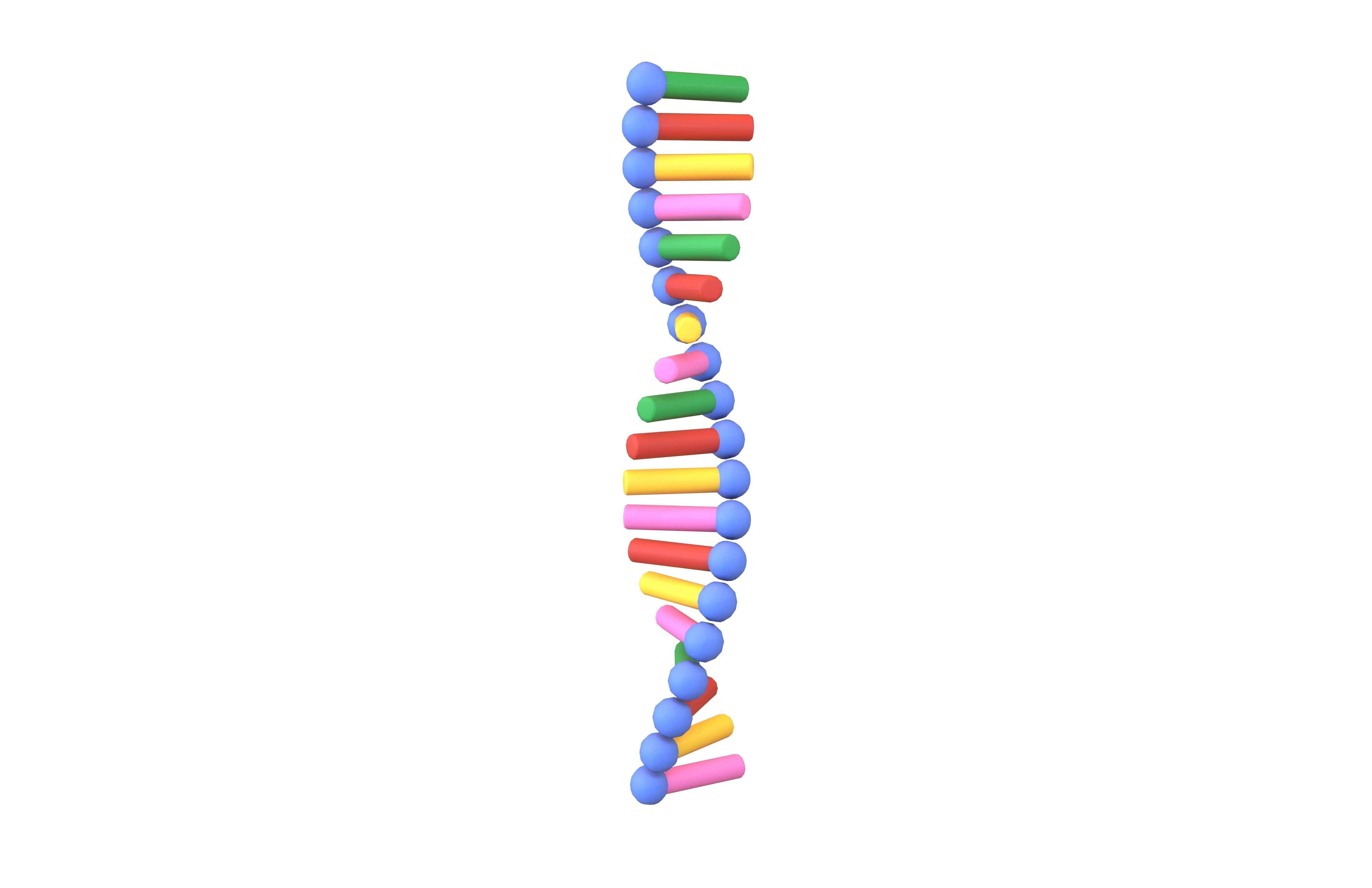 3D model Cartoon RNA Molecule v1 001 VR / AR / low-poly | CGTrader