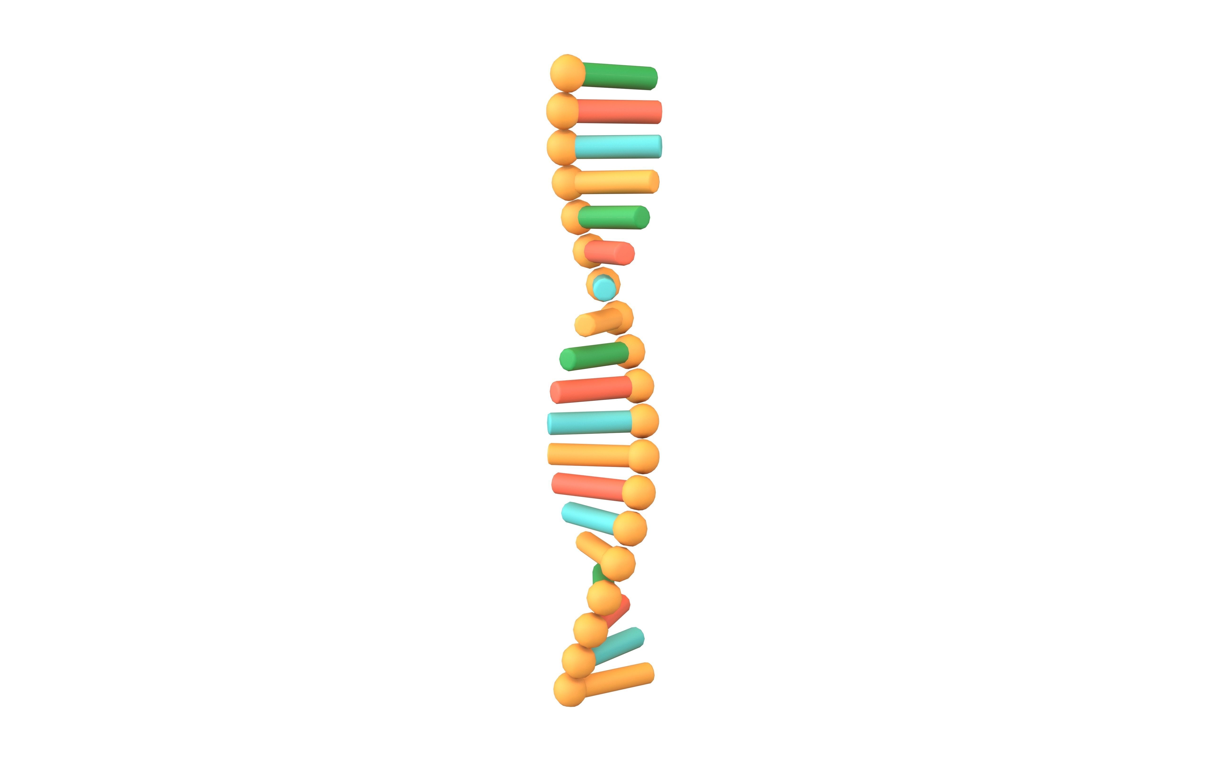 3D model Cartoon RNA Molecule v1 002 VR / AR / low-poly | CGTrader