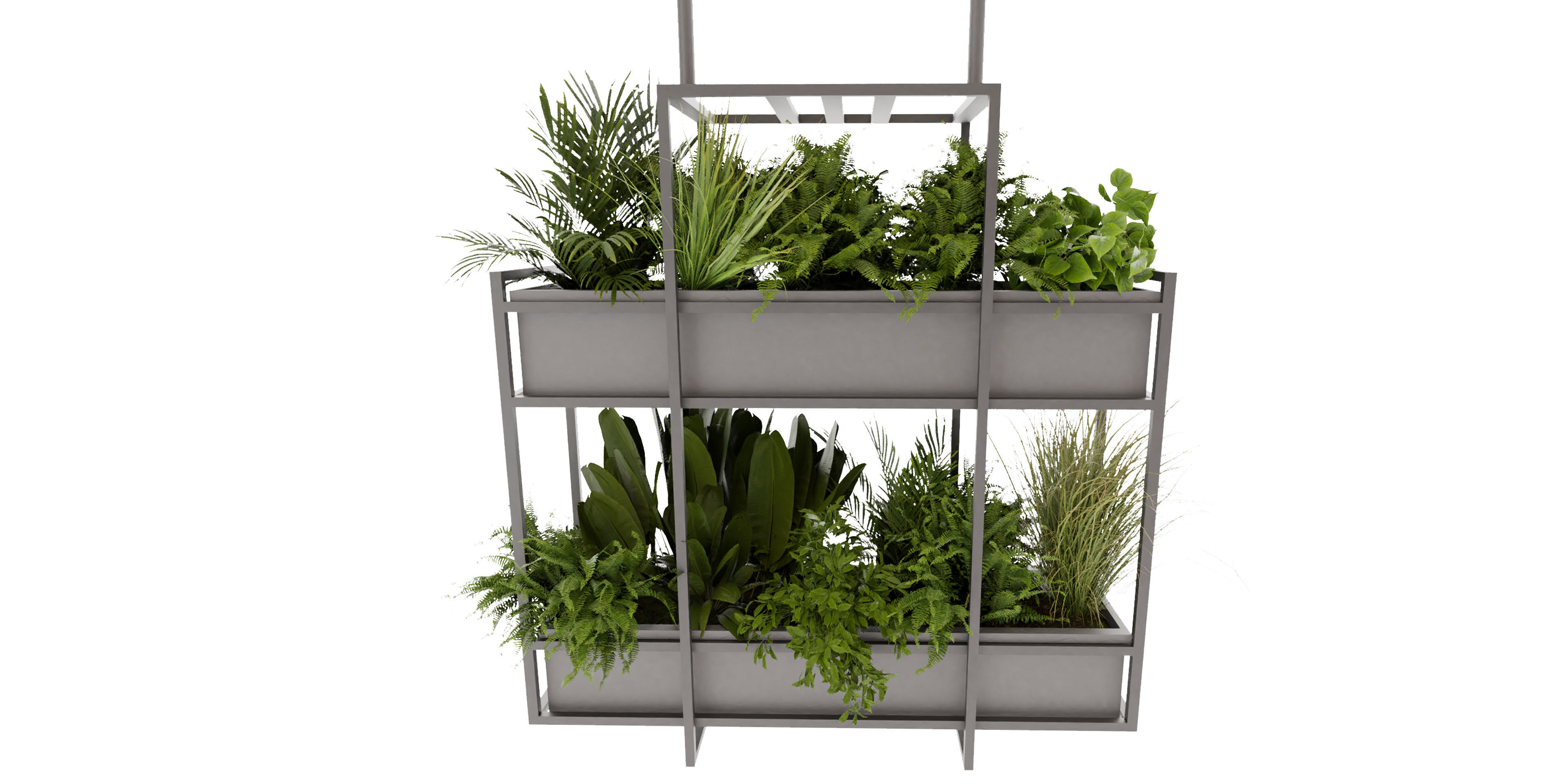 Collection plant vol 491 - hanging - bush - blender model 3D model ...