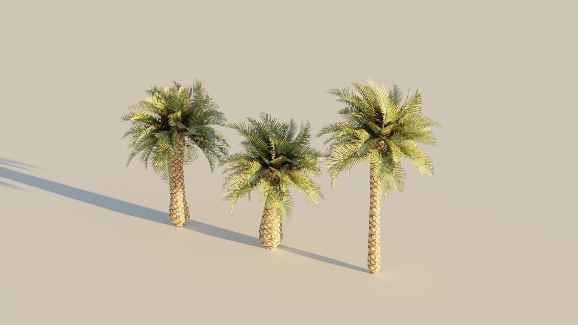 3D model low poly palm trees for forest or exterior VR / AR / low-poly ...