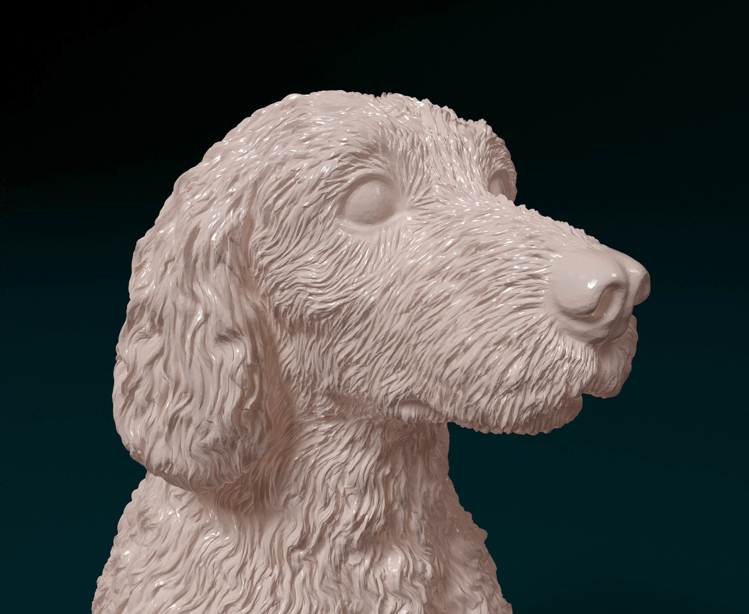 Labradoodle 3D model 3D printable | CGTrader