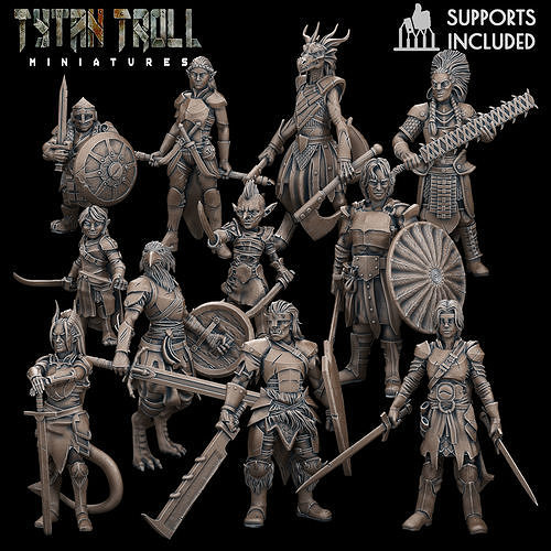 DND Heroes - Female Fighters - Pre-Supported 3D model 3D printable ...