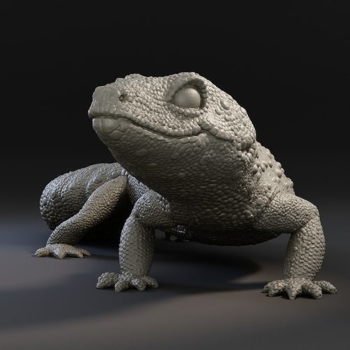 Gecko 3D model 3D printable | CGTrader