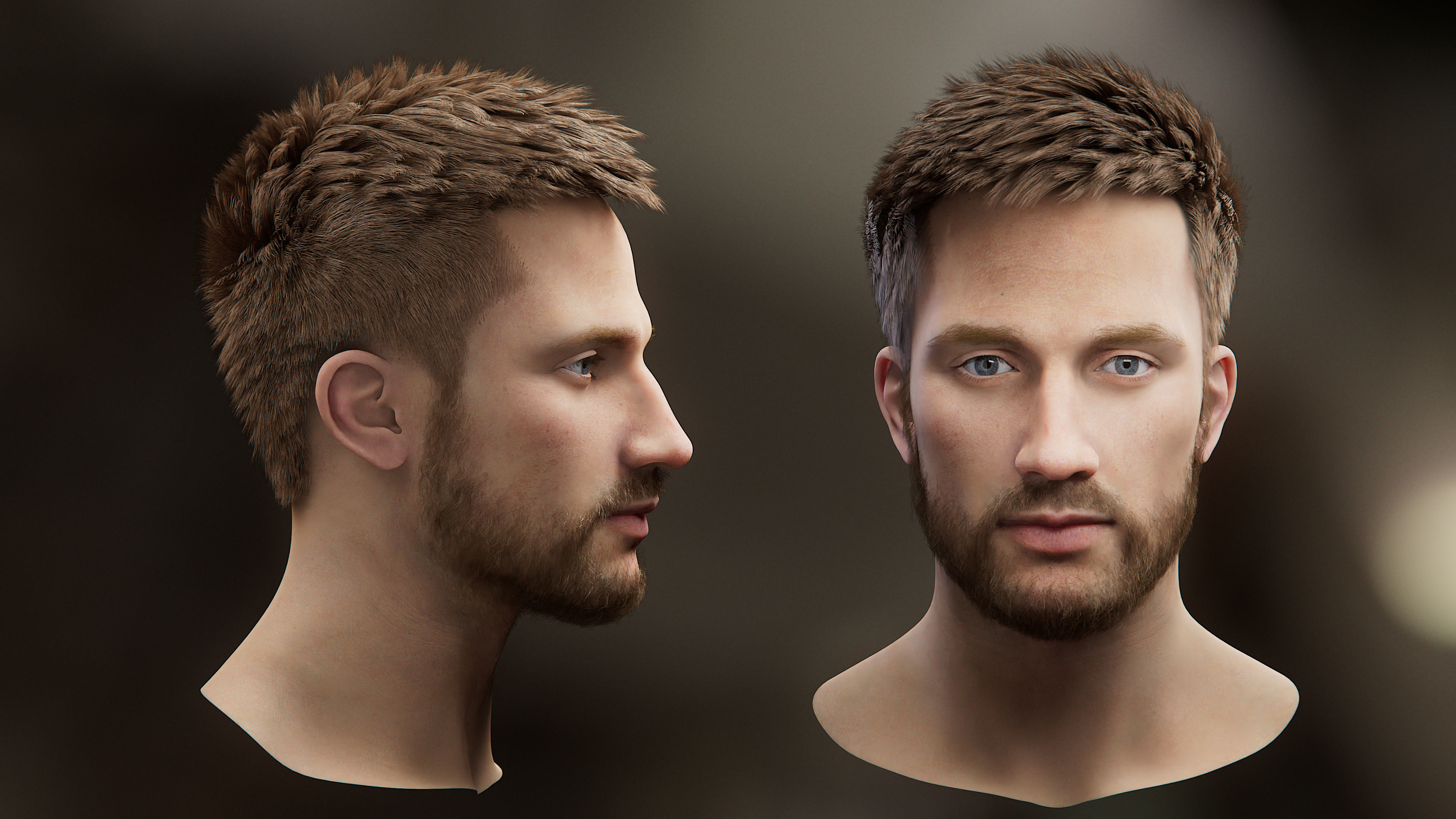 10 Hair Card Hairstyles VFX Grace 3D model | CGTrader