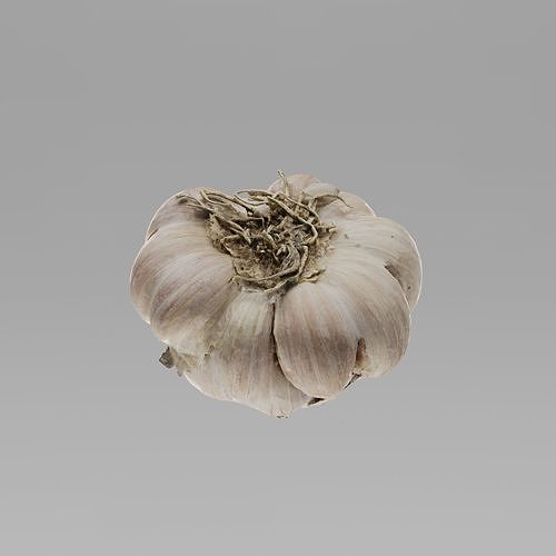 Garlic 3D model | CGTrader