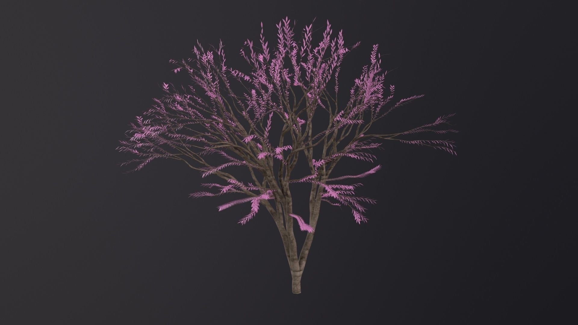 3D model Sakura Tree 3D Model VR / AR / low-poly | CGTrader