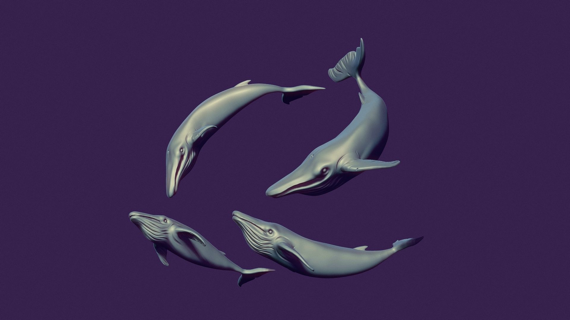 four whales toy in different positions 3D model 3D printable | CGTrader