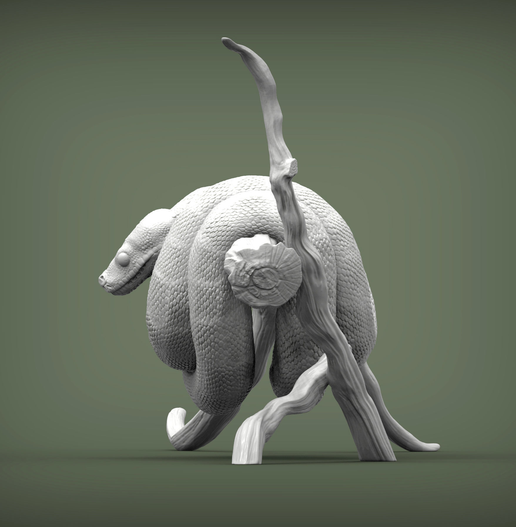 Green tree python 3D model 3D printable | CGTrader
