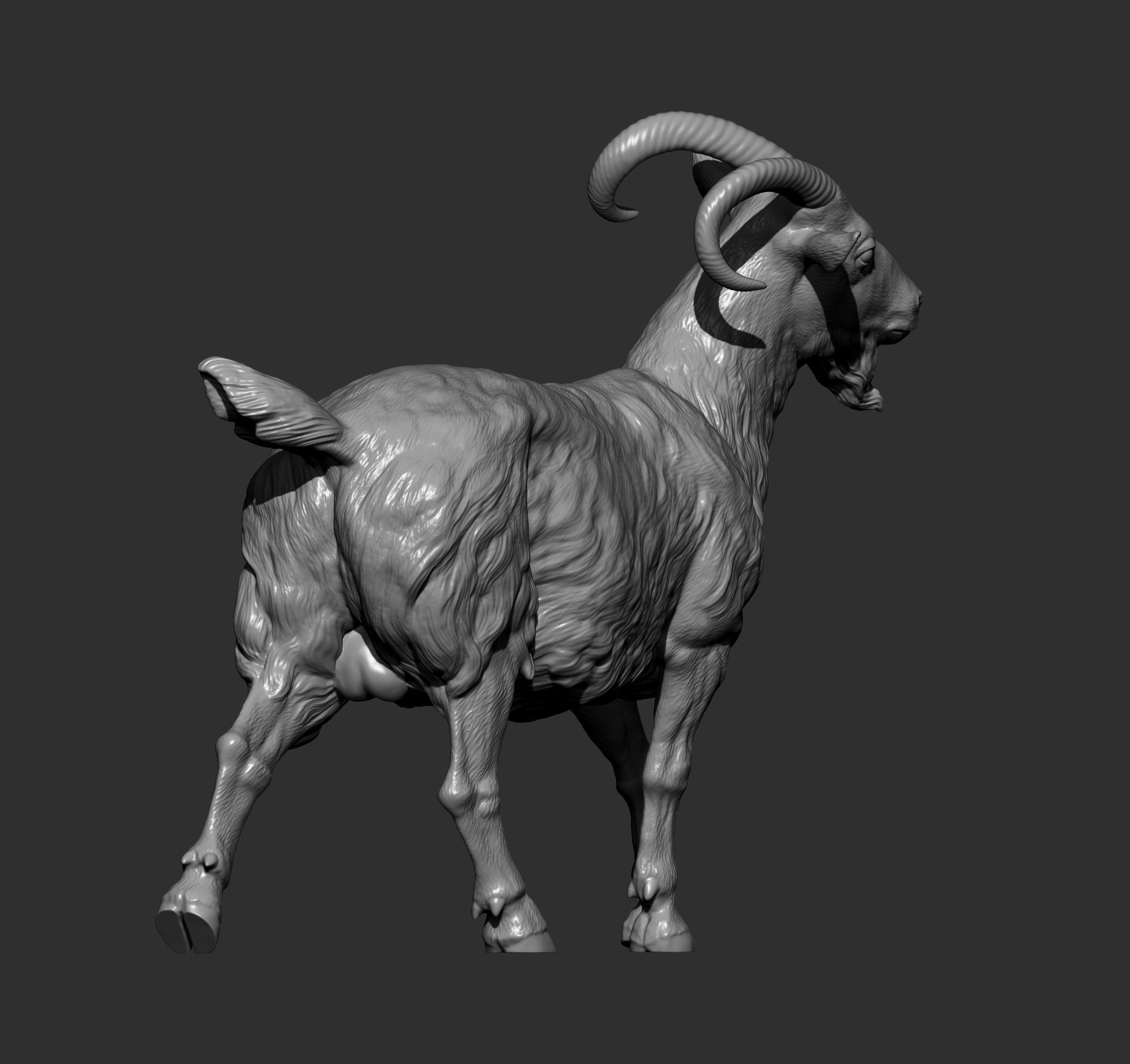 Goat 3D print model 3D model 3D printable | CGTrader