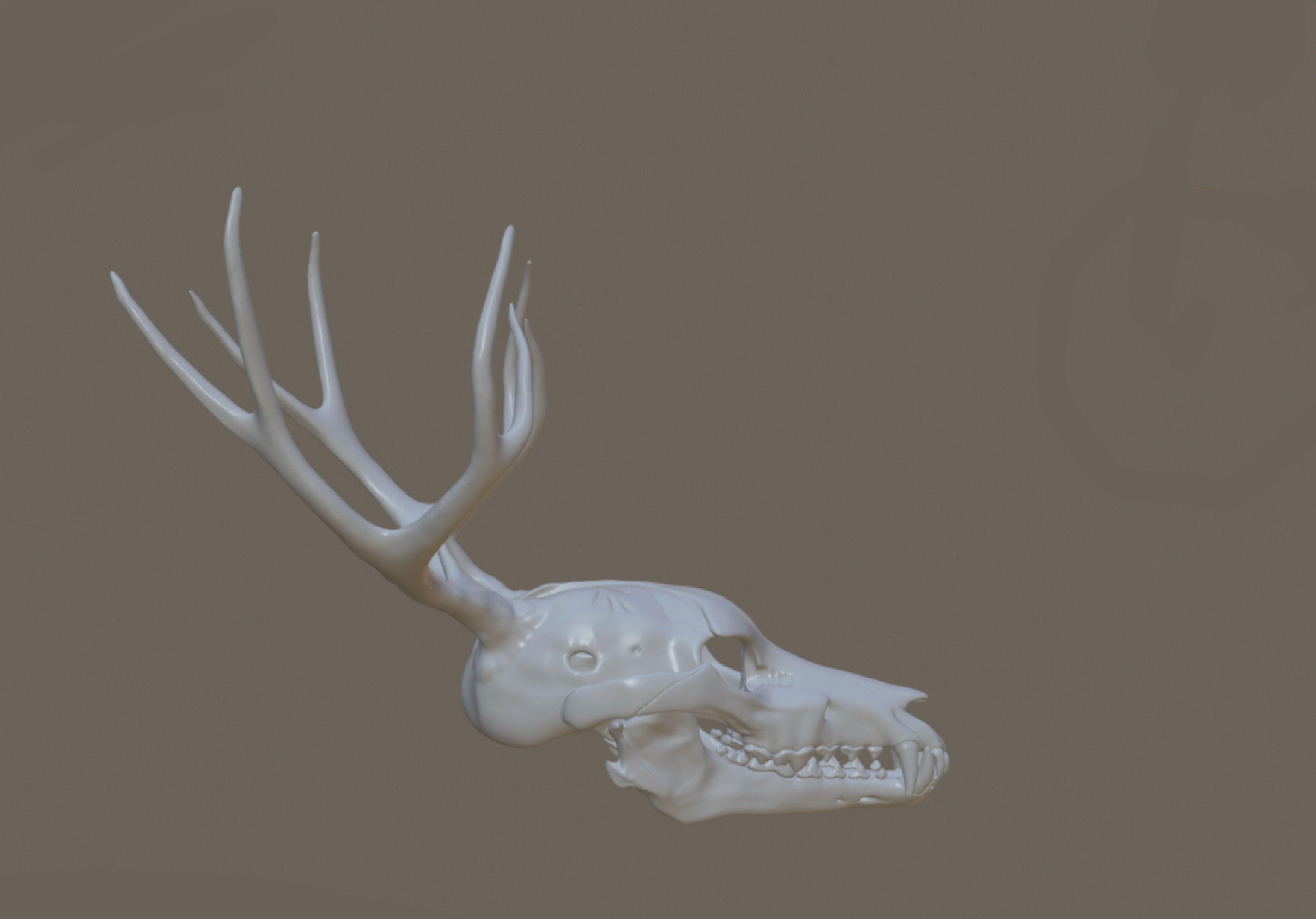 Wendigo Skull V1 3D model 3D printable | CGTrader