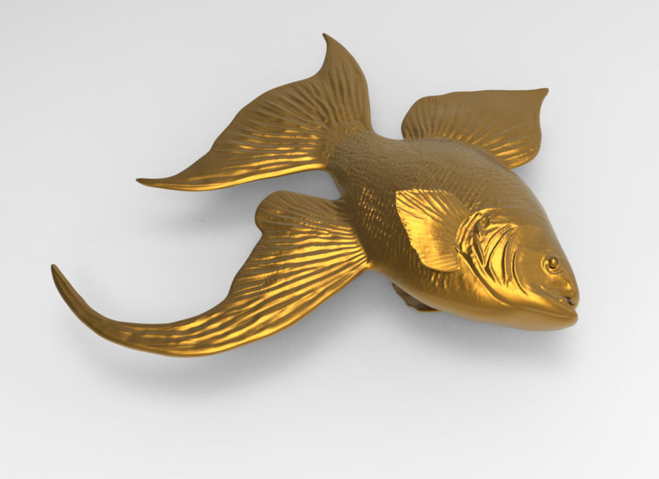 Tropical fish 3D print model 3D model 3D printable | CGTrader