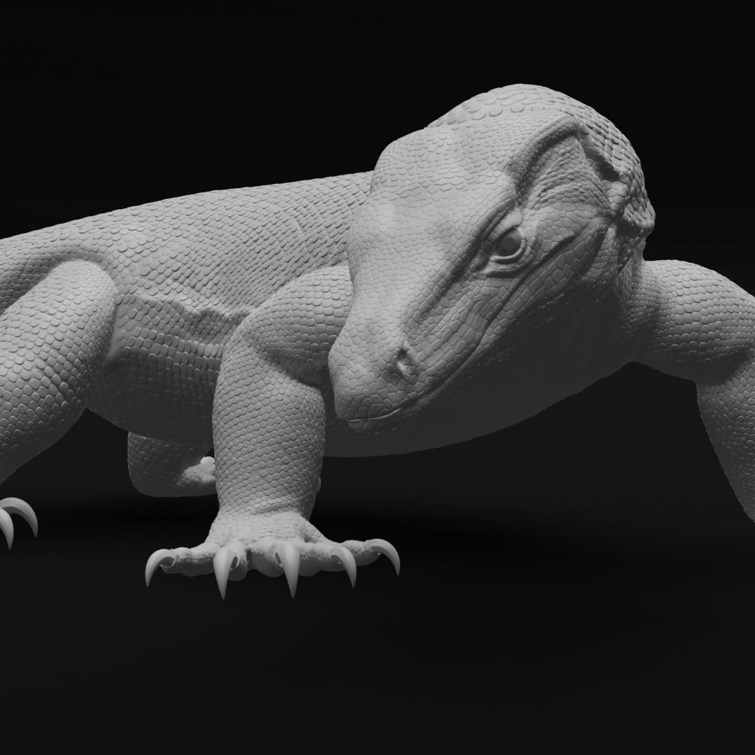 Asian Water Monitor - Lizard Reptile - 3D Print Model 3D model 3D ...