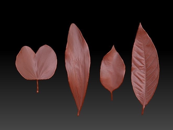3D printed leaf STL 3D printed leaf STL 3D model 3D printable | CGTrader