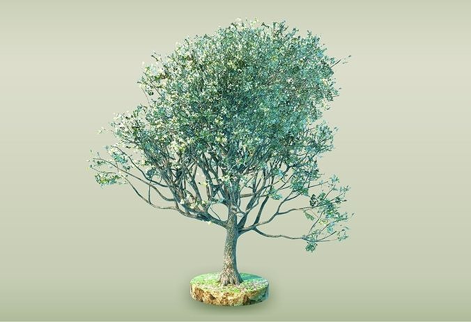 Tree - 3 free 3D model | CGTrader