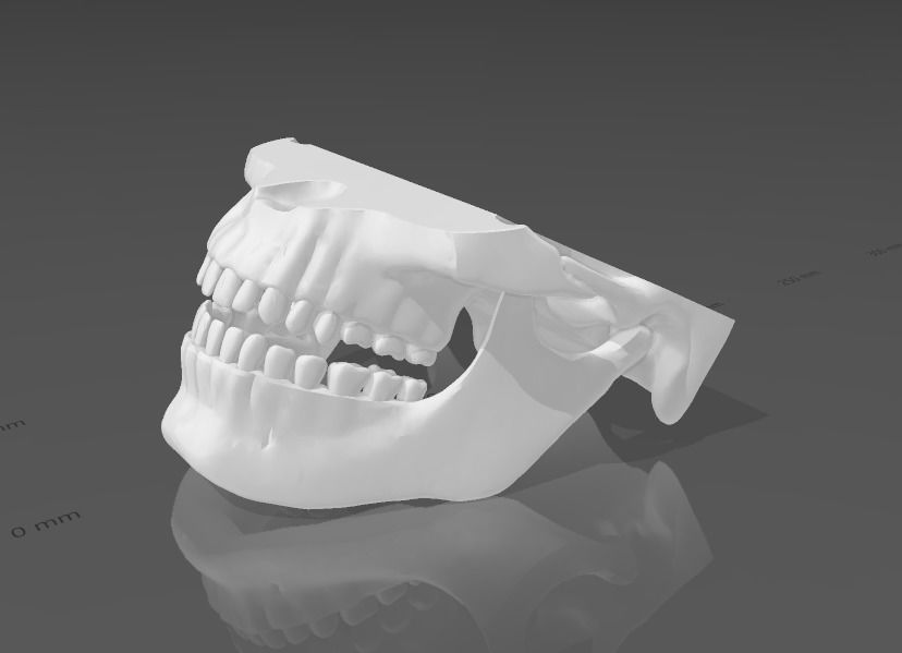 MANDIBULA ARTICULADA - ARTICULATED JAW 3D model 3D printable | CGTrader