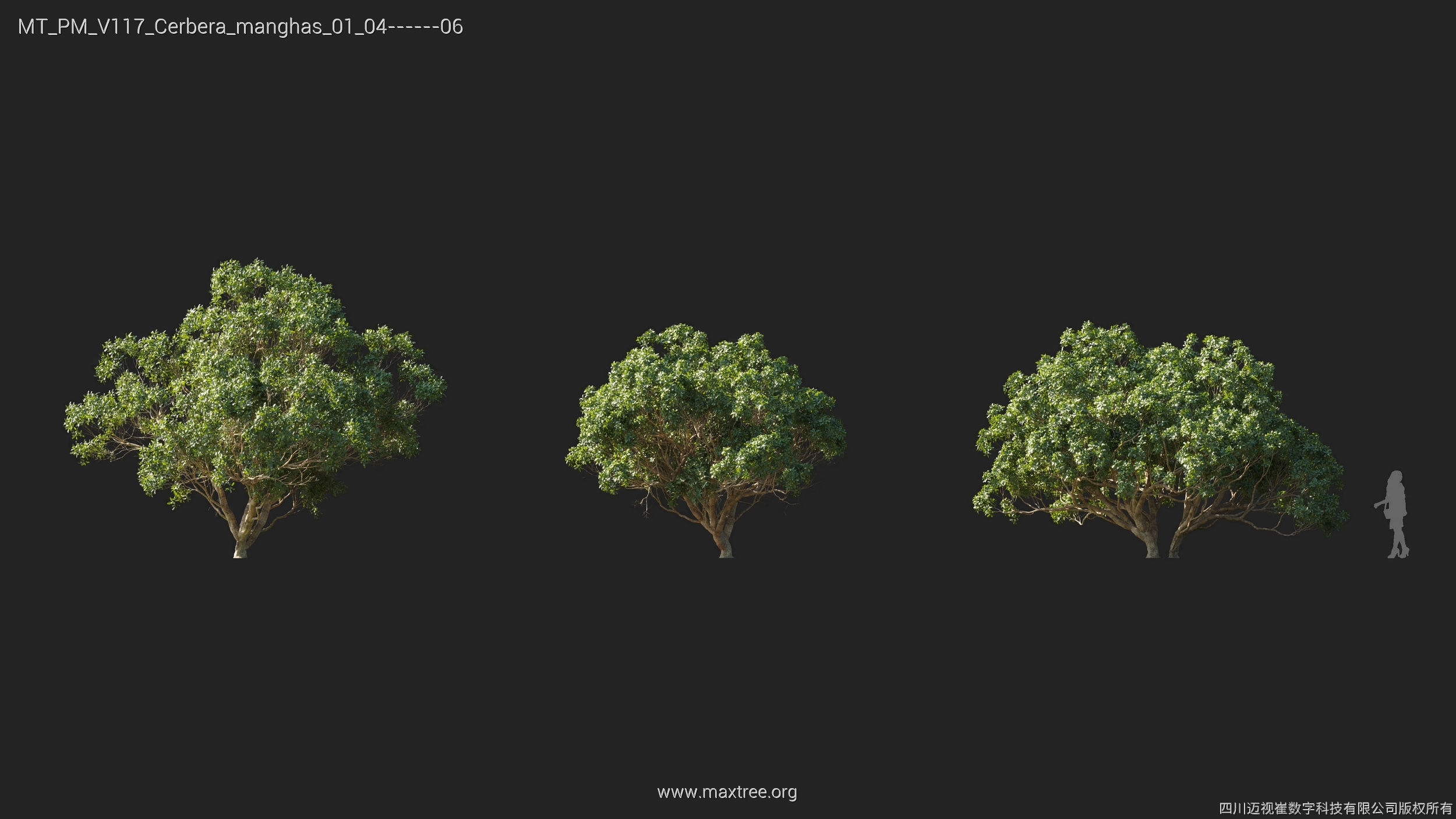 Maxtree Plant Models Vol 117 - Mesh 3D model | CGTrader