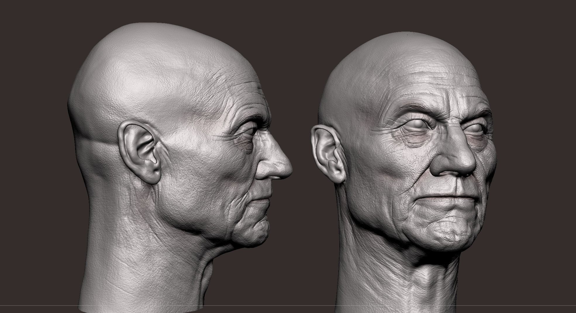 Old Patrick Stewart Head 3D model 3D printable | CGTrader