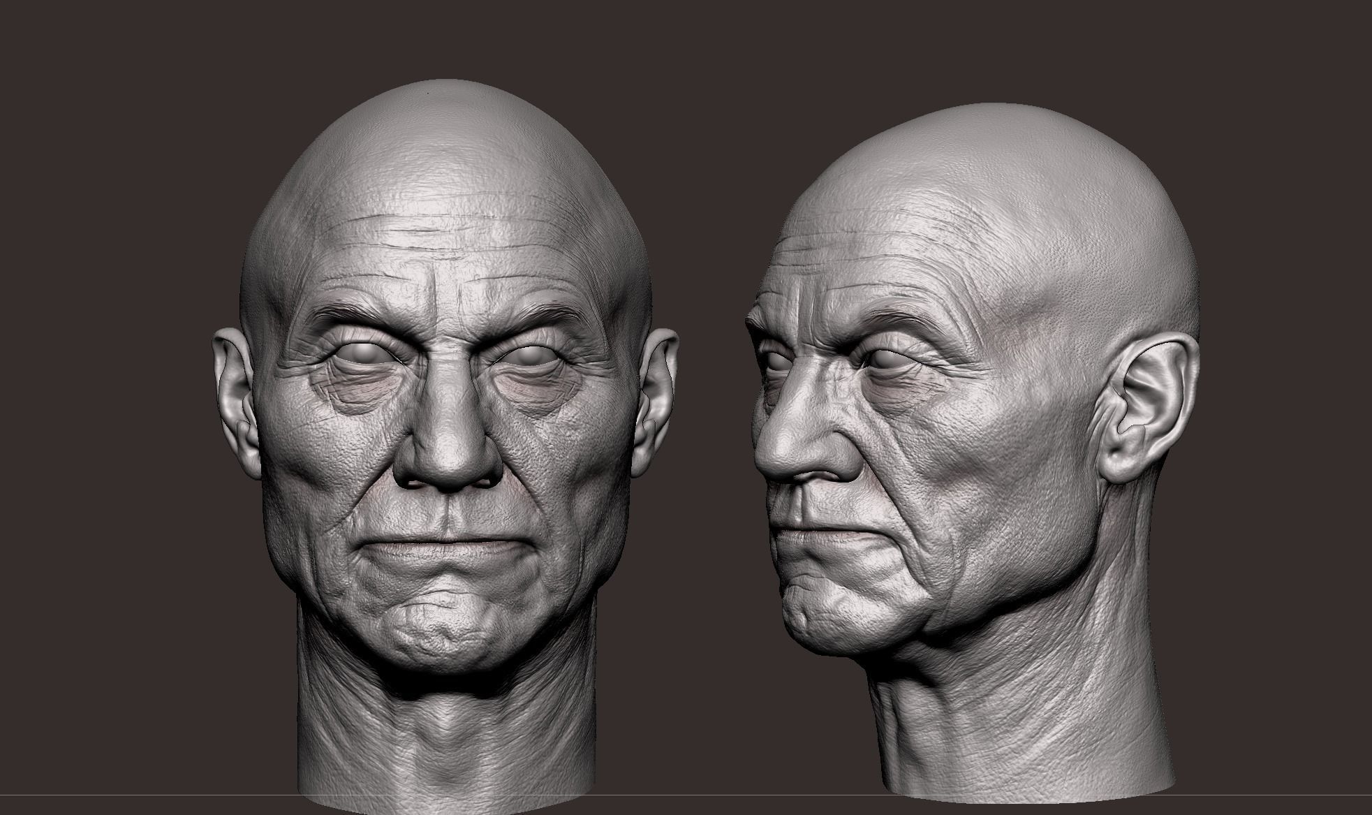 Old Patrick Stewart Head 3D model 3D printable | CGTrader