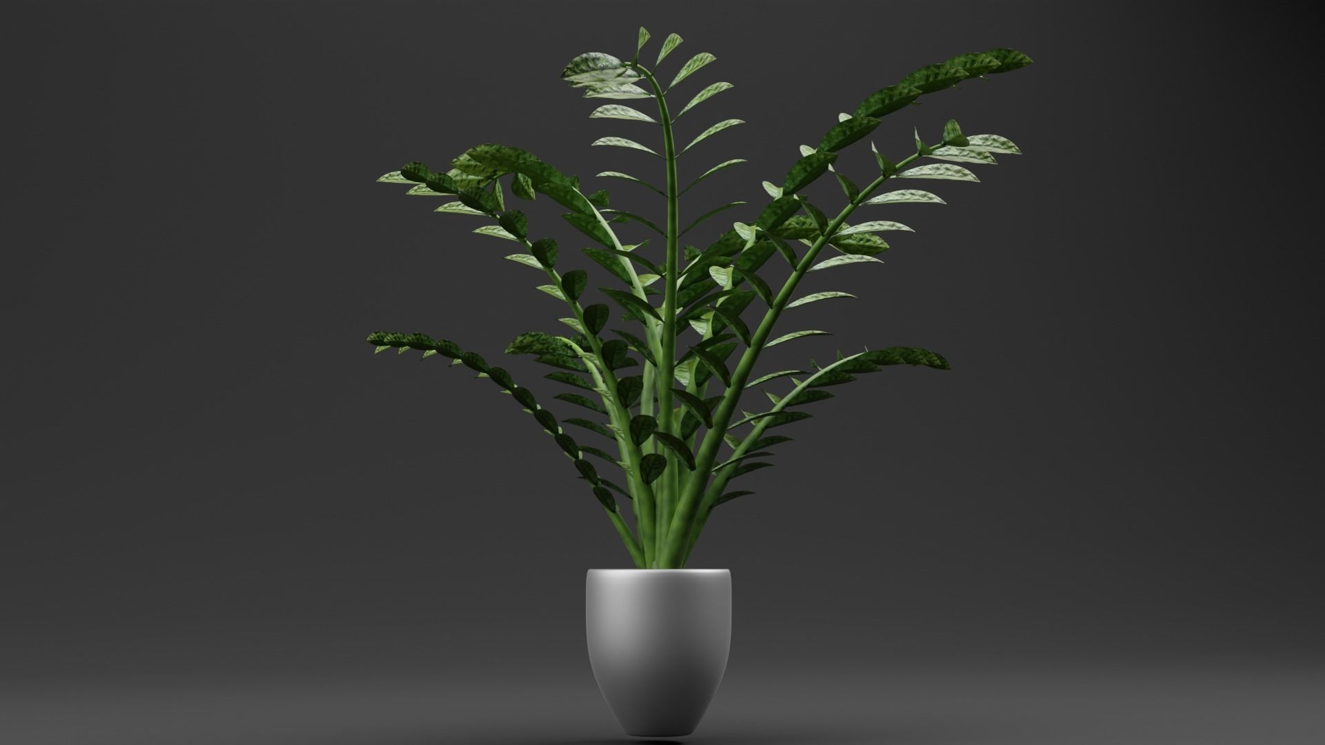 3D model ZZ Plant VR / AR / low-poly | CGTrader