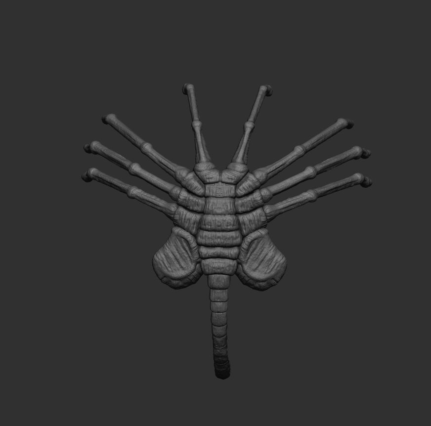 alien face hugger 3d print 3D model 3D printable | CGTrader