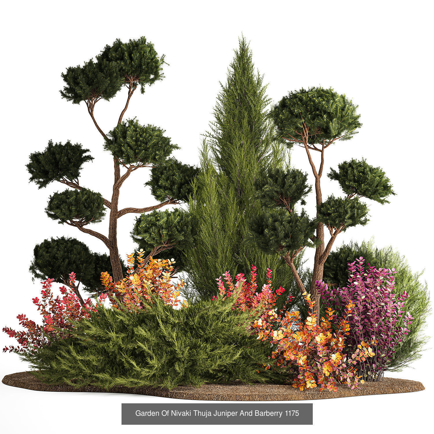Collection of plants and trees for landscape design square parks | CGTrader