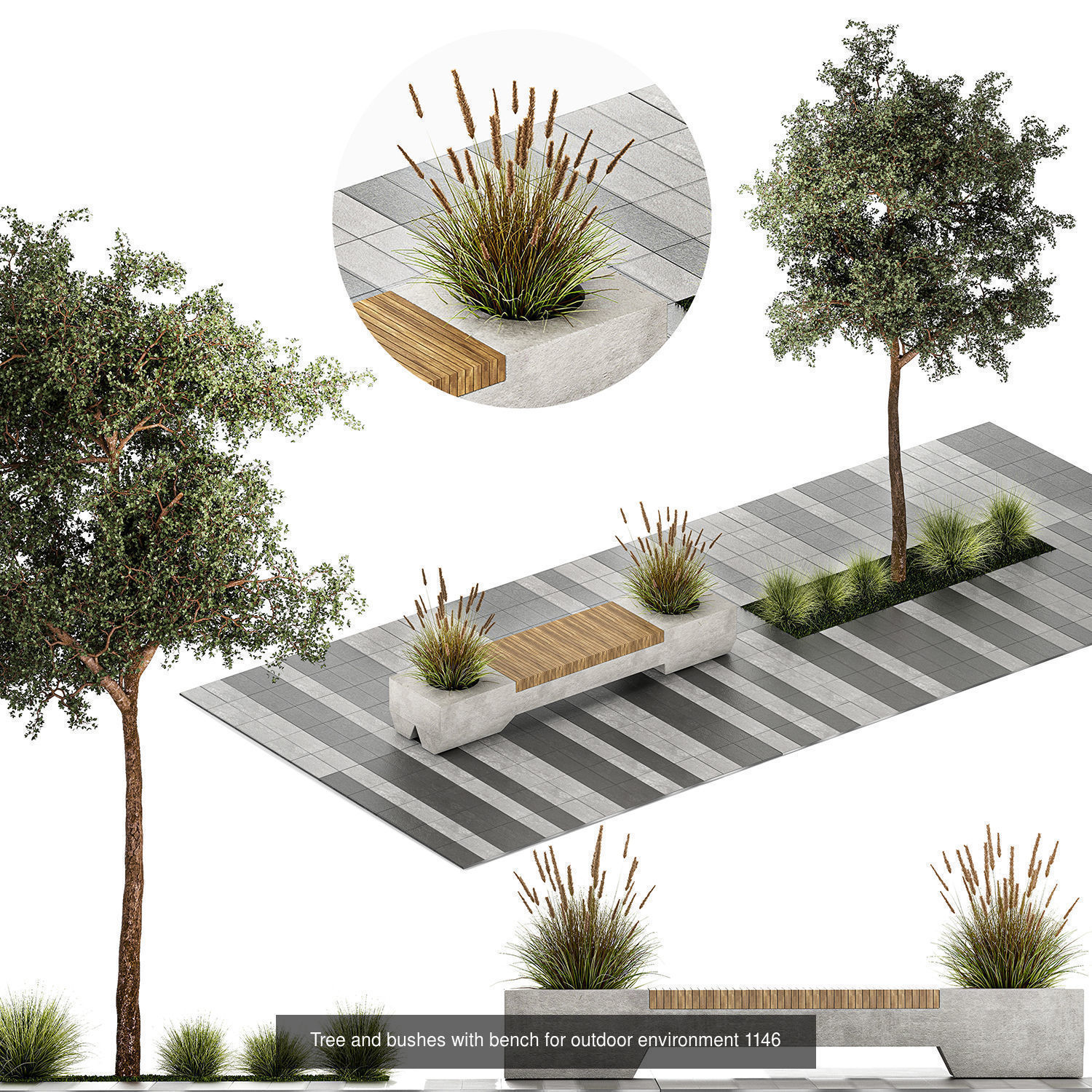 Collection of plants and trees for landscape design square parks | CGTrader