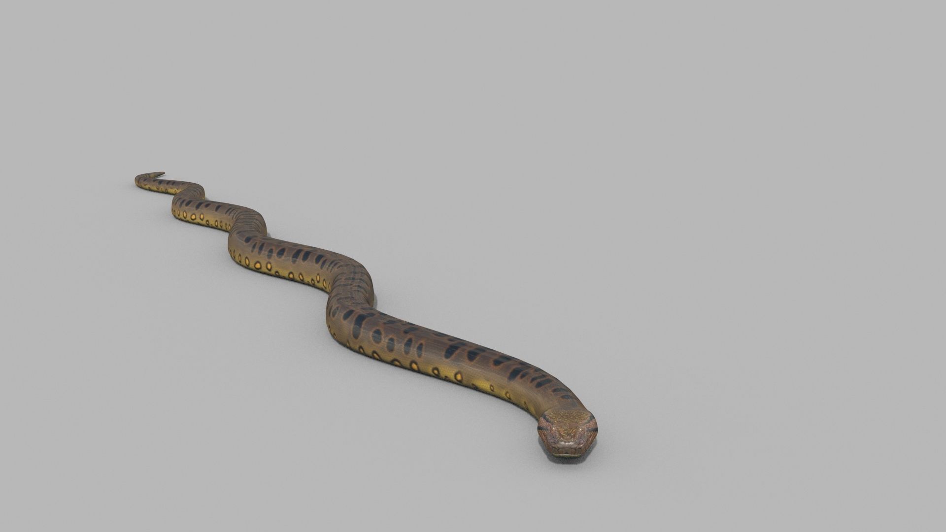 Monstre Anacond 8K - 3d animated model 3D model animated rigged | CGTrader